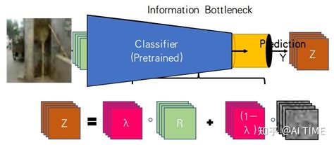 解释神经网络：使用信息瓶颈识别输入特征 知乎