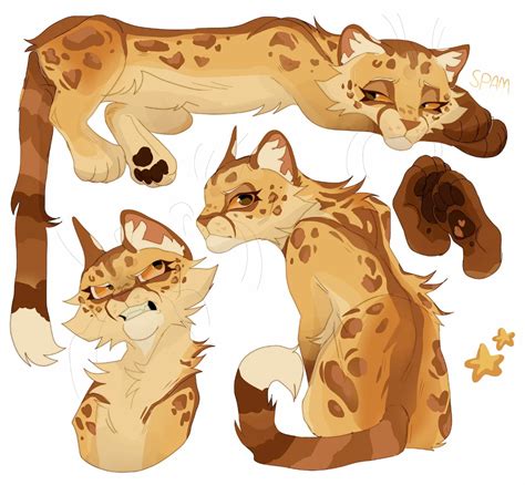 Leopardstar Tik Tokspam в 2025 г Кот воитель Рисунки