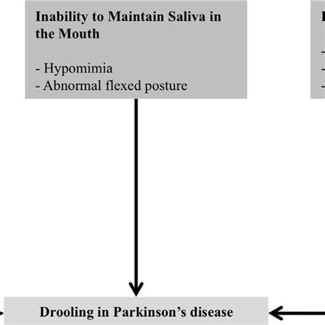 Possible Pathophysiology Of Drooling In Parkinsons Disease Download
