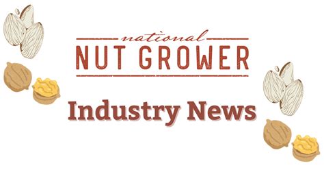 Tree Nut Processor Uses Metal Detectors Magnetic Separators To