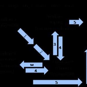 Workflow For MDM Formation Download Scientific Diagram