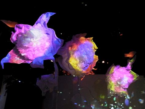 プロジェクションマッピングで花の世界FLOWERS BY NAKED お出かけ大好き みみみのごはん