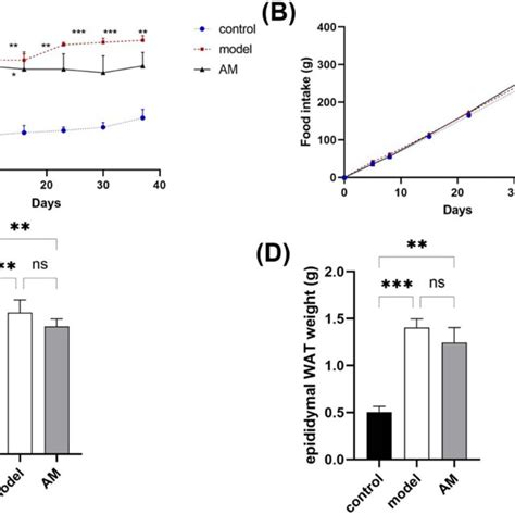 Effects Of Abdominal Massage Am On Body Weight And Fat Mass In Obese Download Scientific