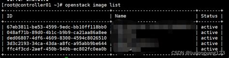 Openstack 命令行 创建镜像快照、下载openstack 创建images Csdn博客