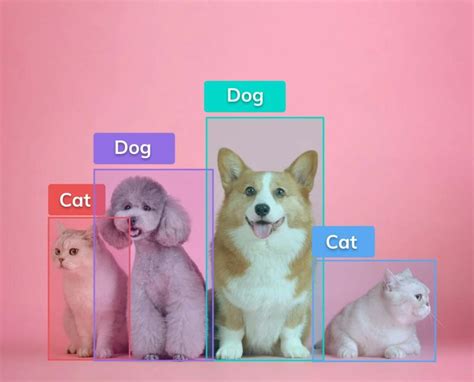 prathyusha ganeshana on linkedin objectdetection yolo computervision machinelearning