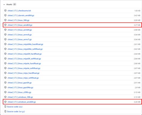 Tunneling Through Windows Machines With Chisel Infinite Logins