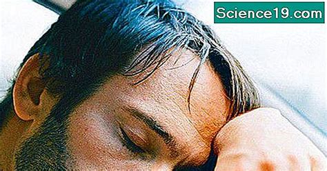 Anatoomilised Struktuurid Homoloogne Analoogne Ja Vestigiaalne 💫 Teaduslikud Ja Populaar