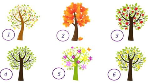 Psychological Test If You Choose This Tree You Are A More Upright And