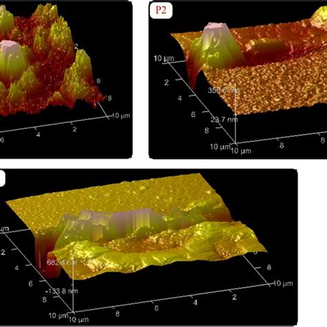 Afm Analysis Of Pfo Thin Films Download Scientific Diagram