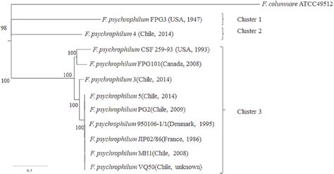 Phylogenetic Tree Inferred From Concatenated Genes Maximum Likelihood Download Scientific