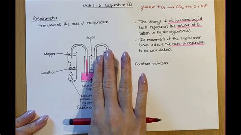 Respirometers YouTube
