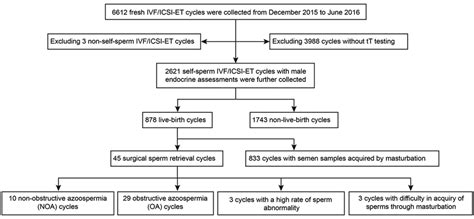 Strategy For Patient Selection IVF ICSI ET In Vitro Fertilization Or Download Scientific