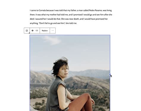 Selection Mode Add Icon Before The Label · Issue 21479 · Wordpress