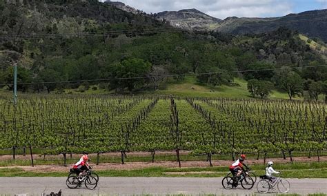 Biking Visit Calistoga