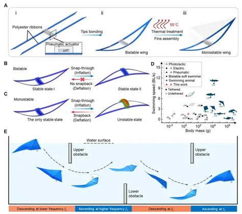 《science Advances》仿生学又一力作：蝠鲼软体机器人 知乎
