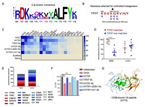 Combinatorial And Non Combinatorial V2 Immunogens Induce Differential