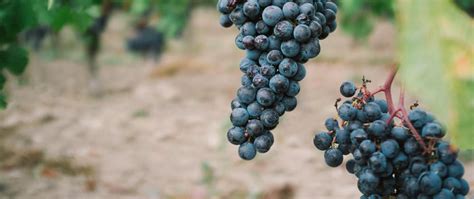 Build A Data Warehouse Quickly With Amazon Redshift Part 1 Dev