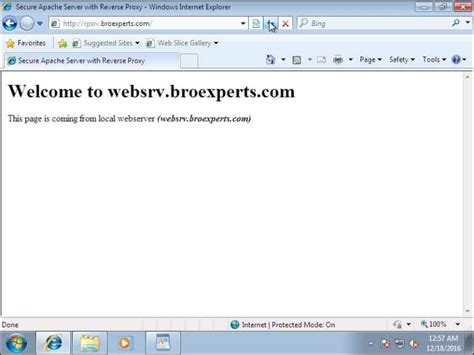 Npm Server Proxy Config