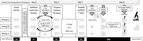 Timeline Of The Study Sequence For Testing Color Changes And SBS Of Download Scientific