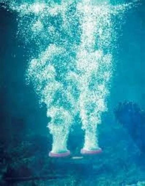 Upc Stainless Steel Coarse Bubble Diffuser For Pond 1 Inch At ₹ 1800 Piece In New Delhi