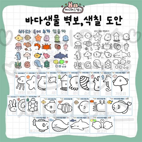 [찌니어스쌤] 여름 바다생물 벽보and색칠도안