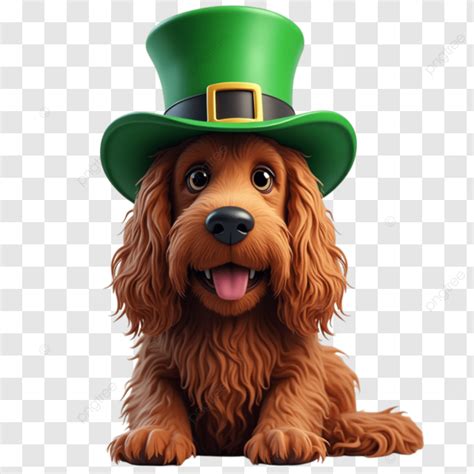 성 패트릭의 날을 즐겁게 축하하는 레프리콘 모자를 쓴 개 레프리콘 모자를 쓴 개 성탄절을 축하하다 패트릭 알스코 Png 일러스트 및 이미지 에 대한 무료 다운로드
