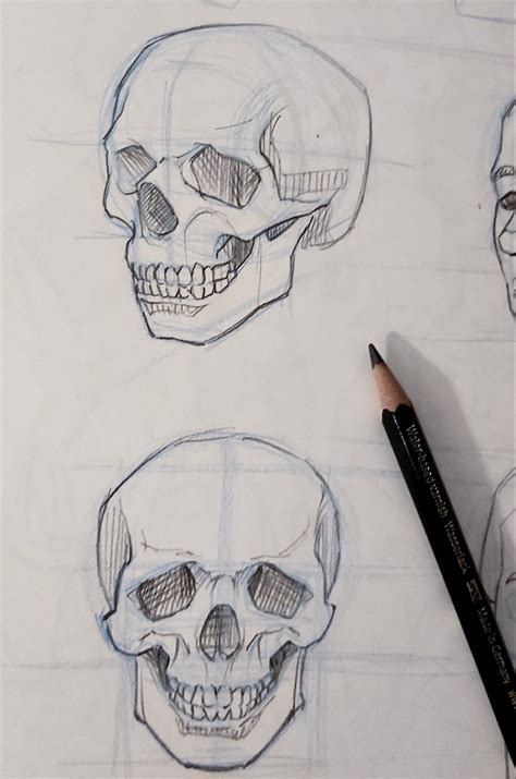 Skull Drawing Practice Artofit