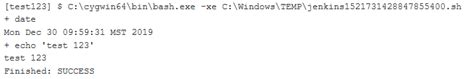 How To Display Bash Script Execution On Jenkins Console From Cygwin