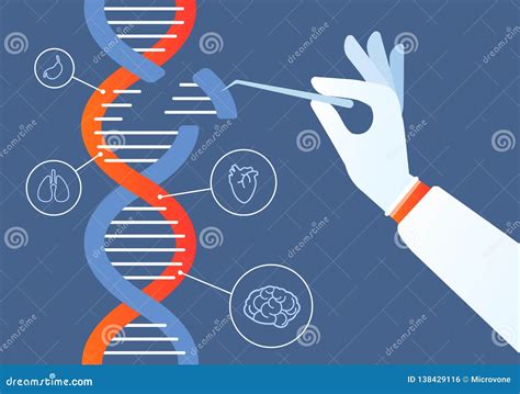 CRISPR CAS Gene Editing Complex From Streptococcus Pyogenes The Cas Nuclease Protein Uses A
