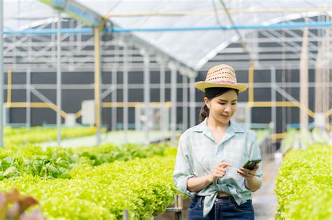 친절한 아시아 여성 농부 채소밭 주인이 웃고 스마트폰을 들고 주문 이름 유기농 야채 수경법 생산 농장 보육원 온실 농업 사업 개념 걷기에 대한 스톡 사진 및 기타 이미지