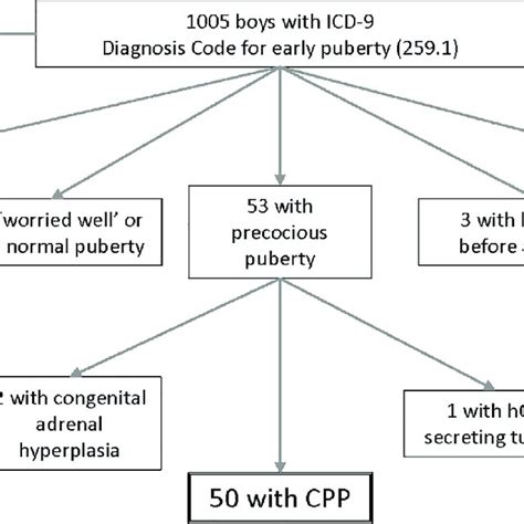 Inclusion Flow Diagram Of The Male Cpp Cohort Download Scientific