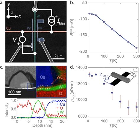 Characterization Of The Cu W Interface A A False Color Sem Image Of Download Scientific