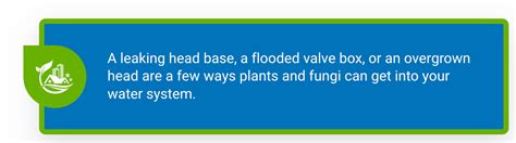 You Need To Test Your Irrigation Backflow Prevention Device Annually