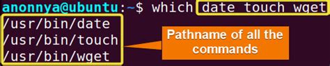 The “which” Command In Linux [3 Practical Examples]