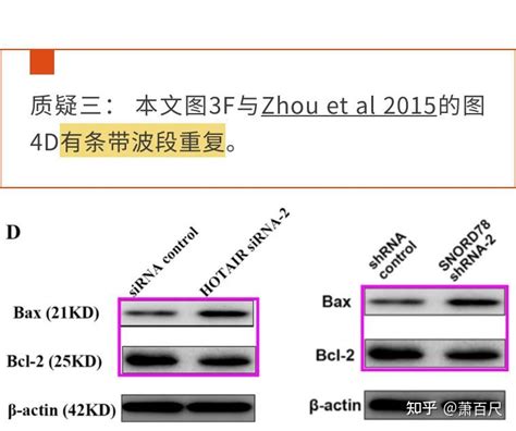 上海中山医院与肺科医院发表的论文被指多图重复，真实性令人怀疑 知乎