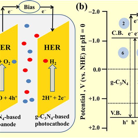 Schematic Diagram Of A G C3n4 Based Pec Water Splitting Cell B Download Scientific Diagram