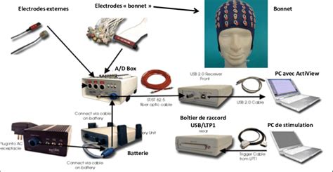 Système Dacquisition Eeg Biosemi ® Les éléments Principaux Sont Le