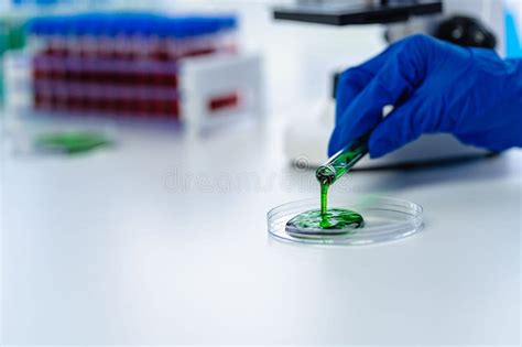 Laboratory Concept Close Up Of Chemicals In A Laboratory A Biochemist Is Conducting