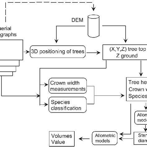 Flowchart Of A Photogrammetric Forest Measurement System Operating At