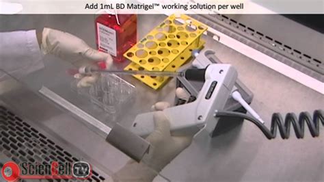 Matrigel Coated Plates At Stephanie Daley Blog