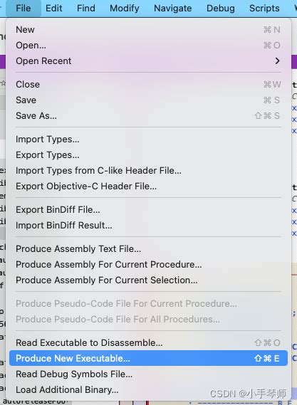 Ios逆向工具hopper Disassembler的基本使用功能整理持续更新 Csdn博客