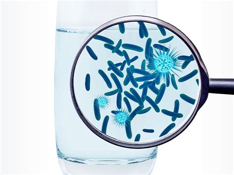 Какви бактерии и вируси могат да бъдат открити в чешмяната вода