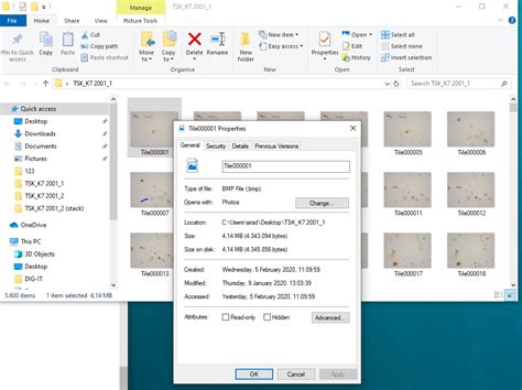 Make Z Stack Images With Scripts Image Analysis Image Sc Forum