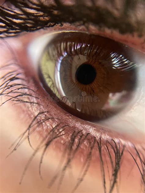 Girl S Brown Eyes Close Up Stock Image Image Of Girl 277878485