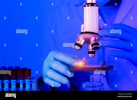 Man Technician Is Examining A Histological Sample A Biopsy In The
