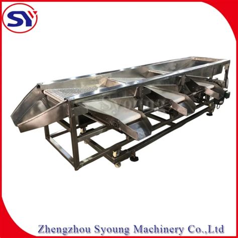 Size Sorting Machine For Red Dates Fruit Sorting Grading Machine