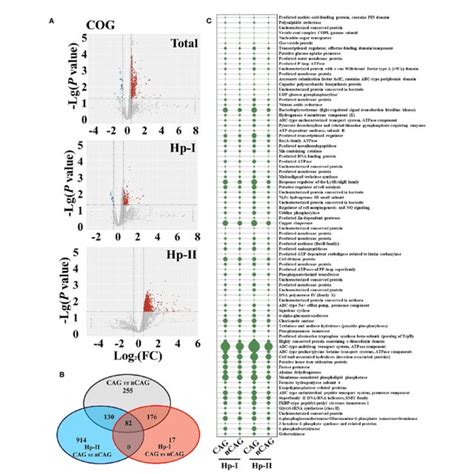 Scheme Of Isoperistaltic Gastrojejunostomy A And Antiperistaltic Download Scientific Diagram