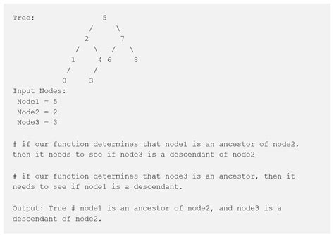 Validate Nodes Rust Write A Function That Returns A Boolean By Micheal Keines Medium
