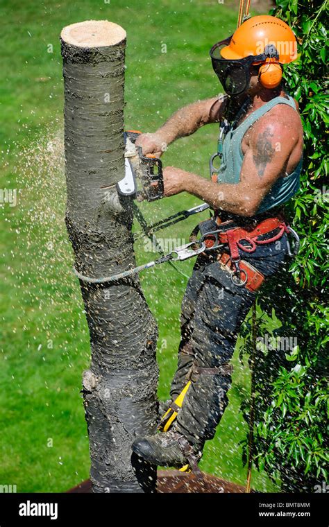 Tree Surgeon Hi Res Stock Photography And Images Alamy