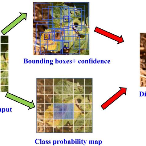 Schematic Of The Yolov4 Network Architecture Consisting Of Cspdarknet53 Download Scientific